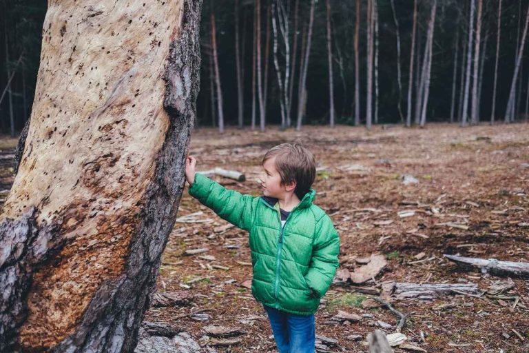 100 Popular and Rare Welsh Boy Names and Meanings - HappyBabyHub